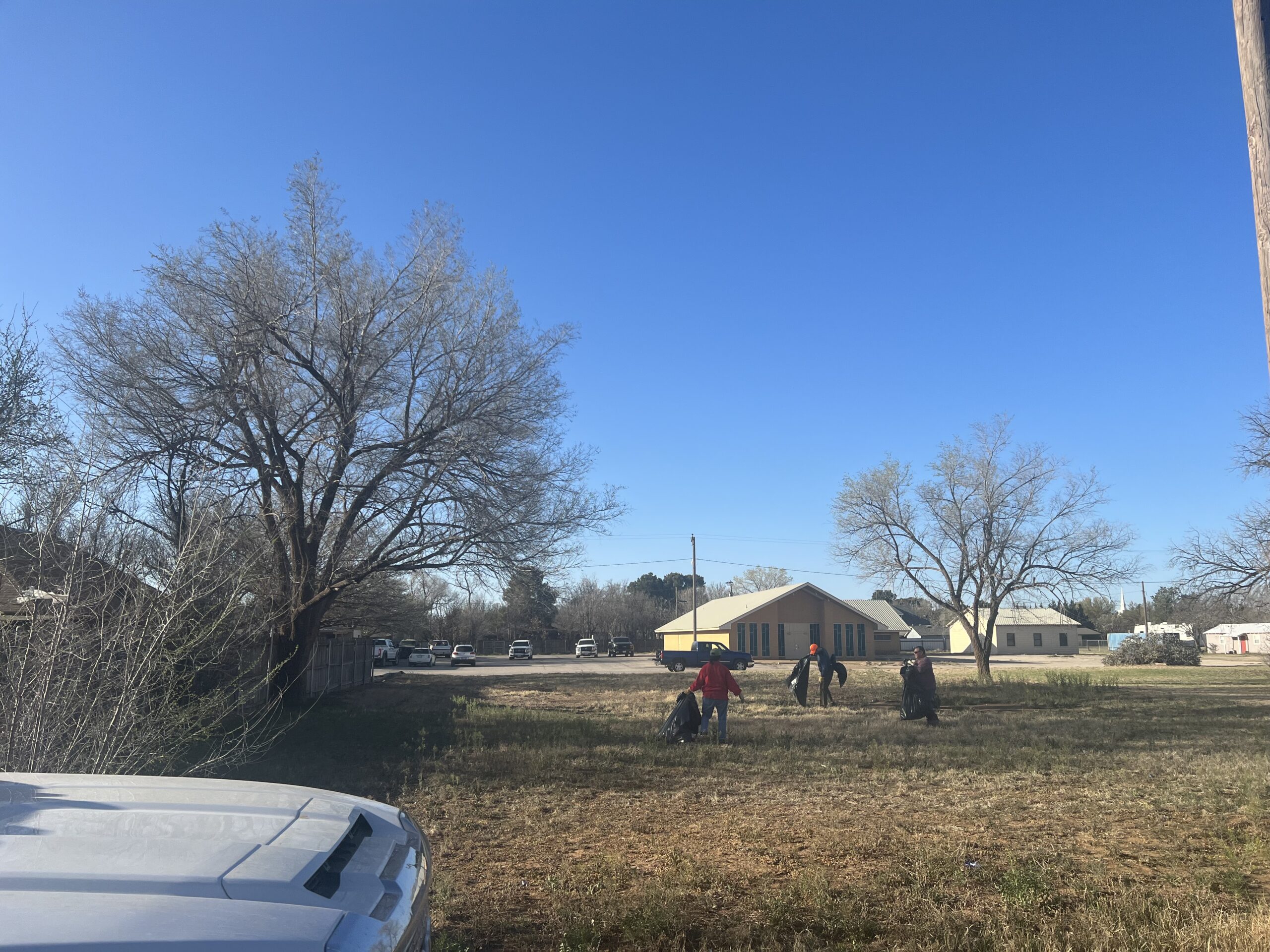 Reboot Texas » O’Donnell